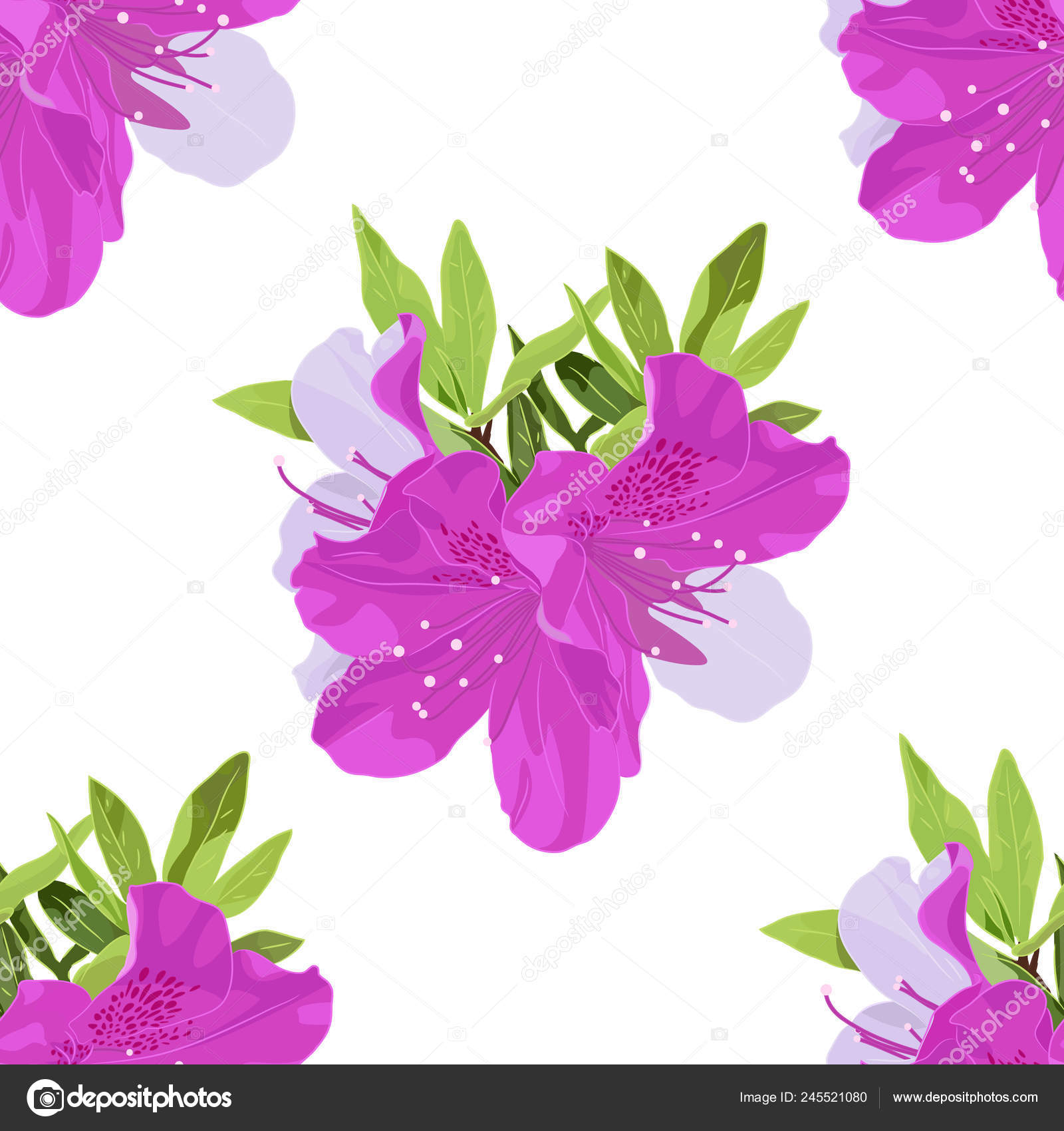 Vector Pattern Dwarf Korean Azalea Leafs Botanical Seamless Fuchsia ...