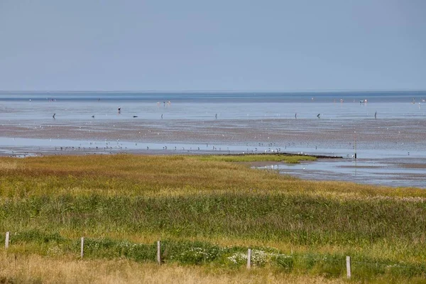 Parque nacional do mar wadden Stock Photos, Royalty Free Parque ...