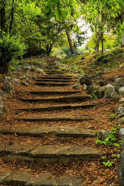 Beautiful pathway Stock Photos, Royalty Free Beautiful pathway Images ...