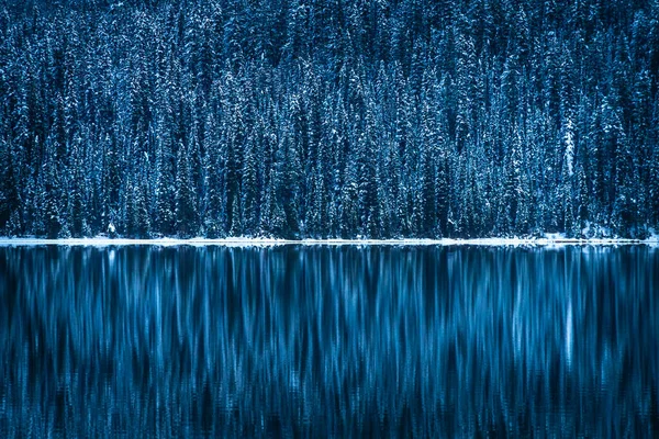Lake trees waves Stock Photos, Royalty Free Lake trees waves Images | Depositphotos
