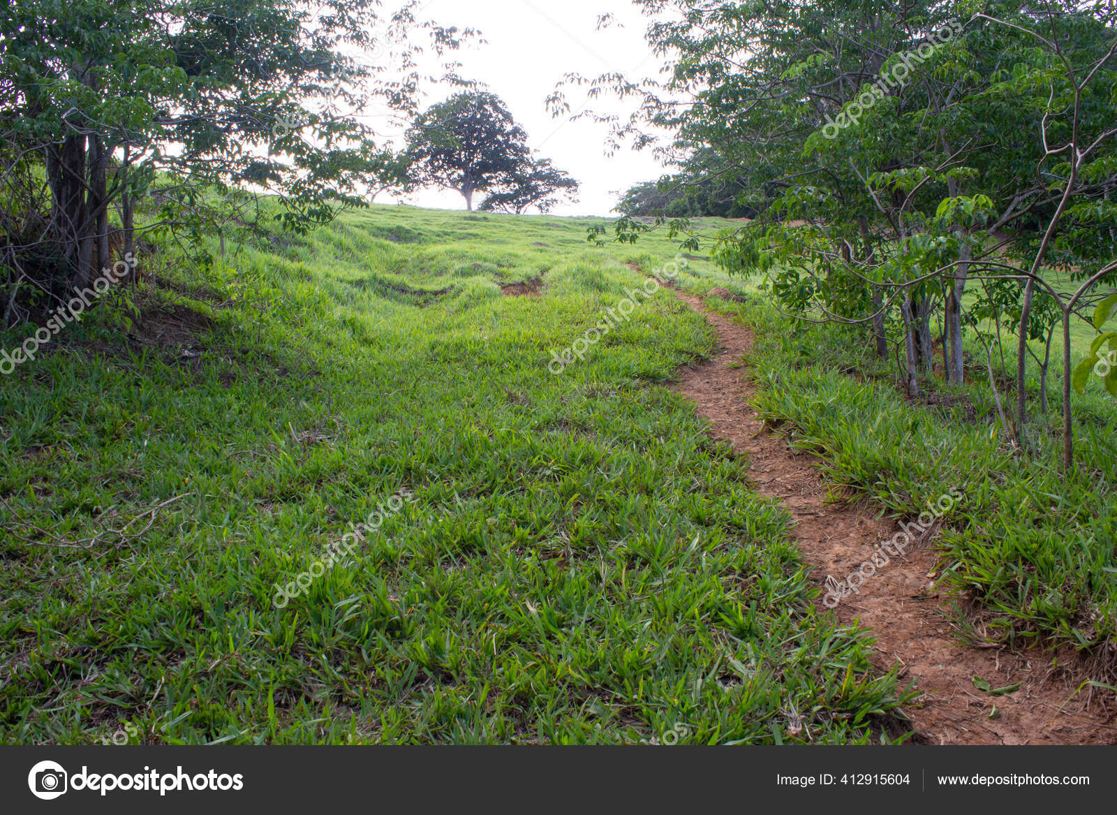 Narrow Path Grass Going Hill Rounded Small Trees Stock Photo by ©Cavan ...