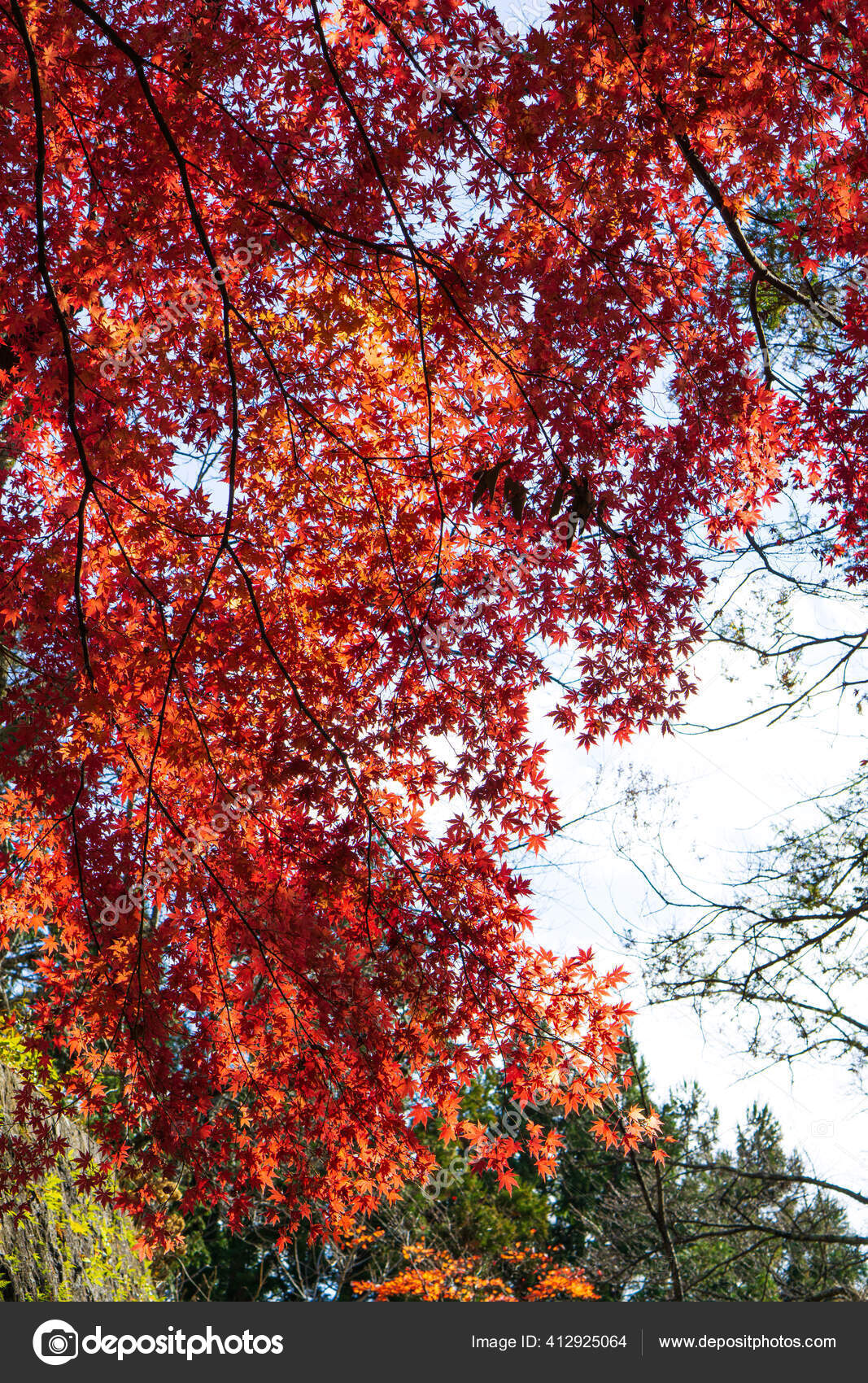 Mount Fuji Also Knows Fujiyama Fujisan Highest Mountain Japan Active ...