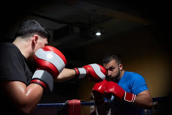 Sports boxing Stock Photos, Royalty Free Sports boxing Images ...