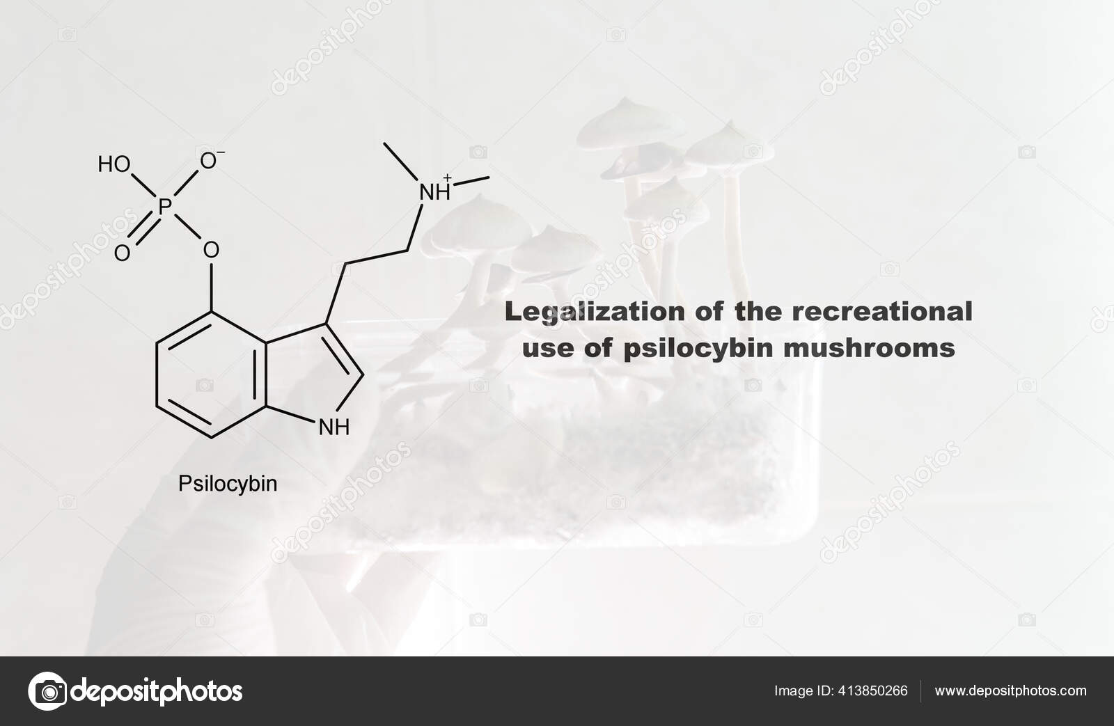 Legalization Recreational Use Psilocybin Mushrooms Psilocybin Its ...