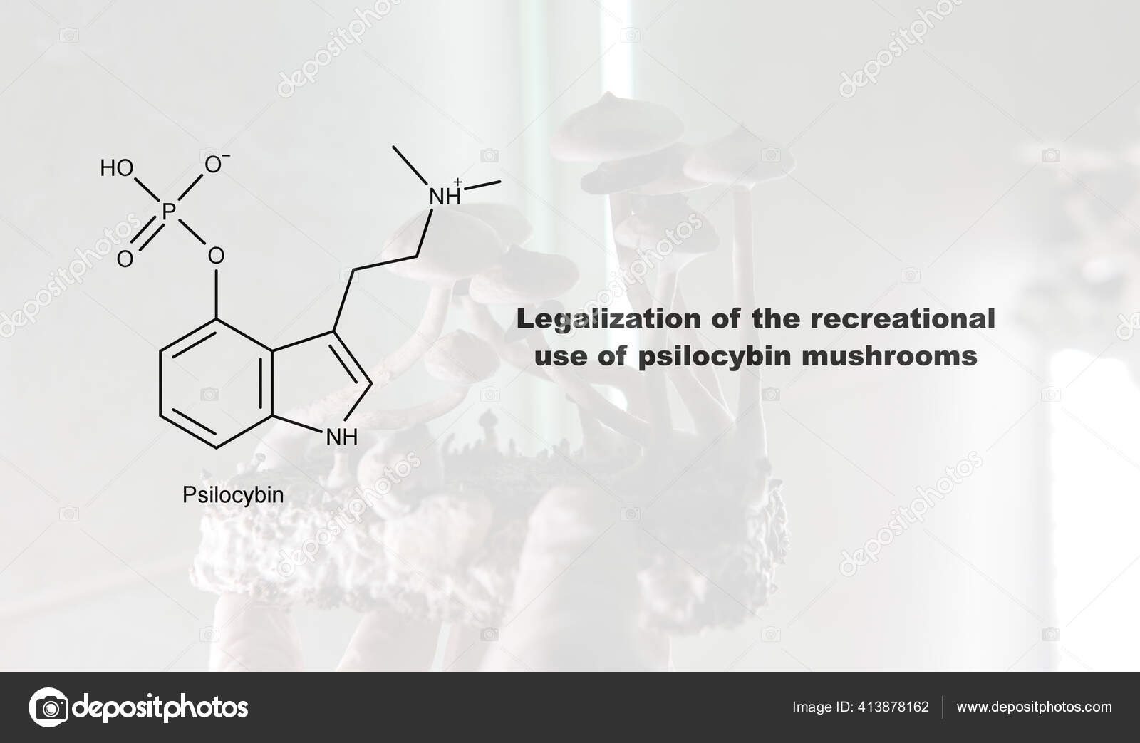 Legalization Recreational Use Psilocybin Mushrooms Psilocybin Its ...