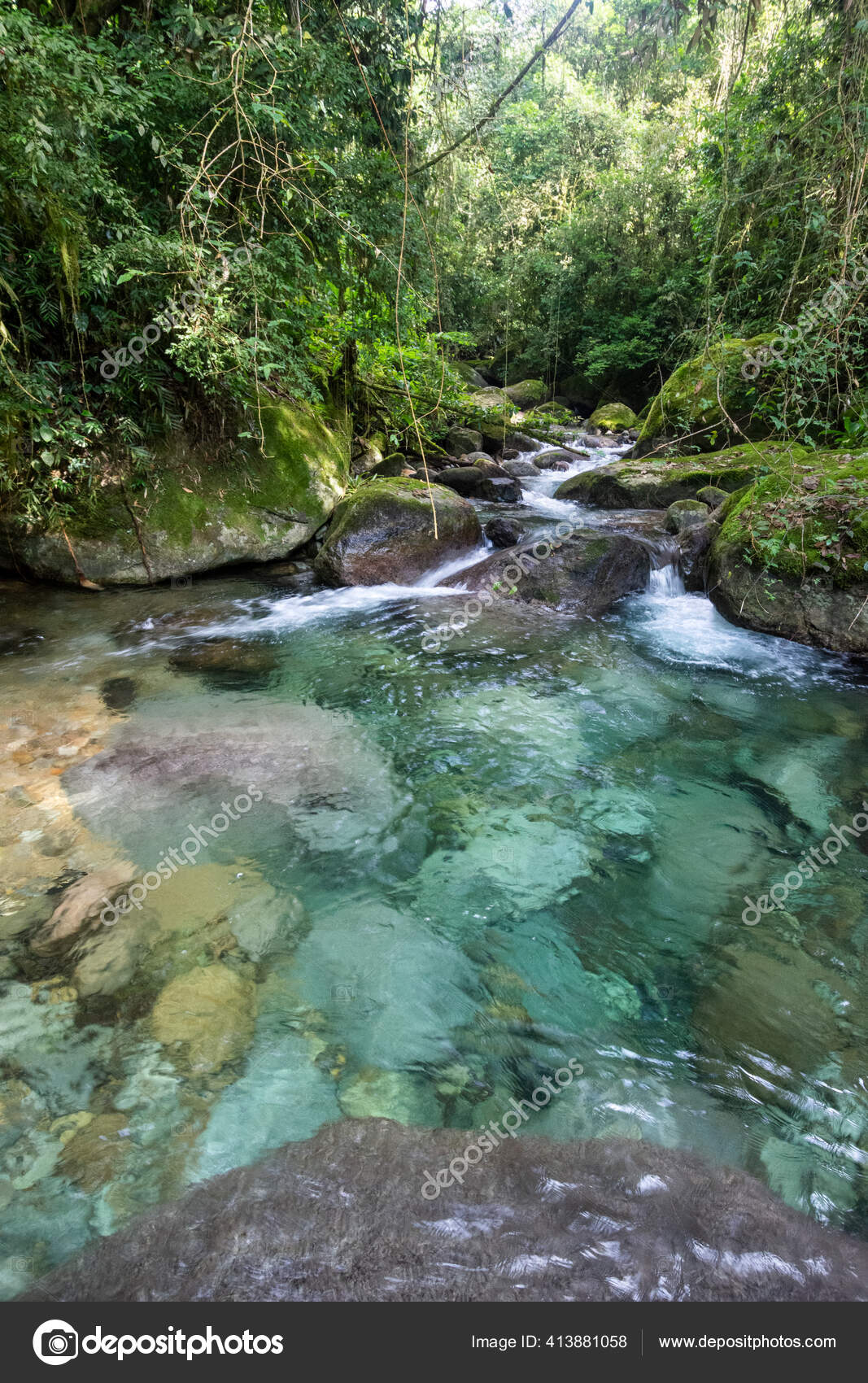 Beautiful Crystal Clear River Blue Water Green Rainforest Landscape ...
