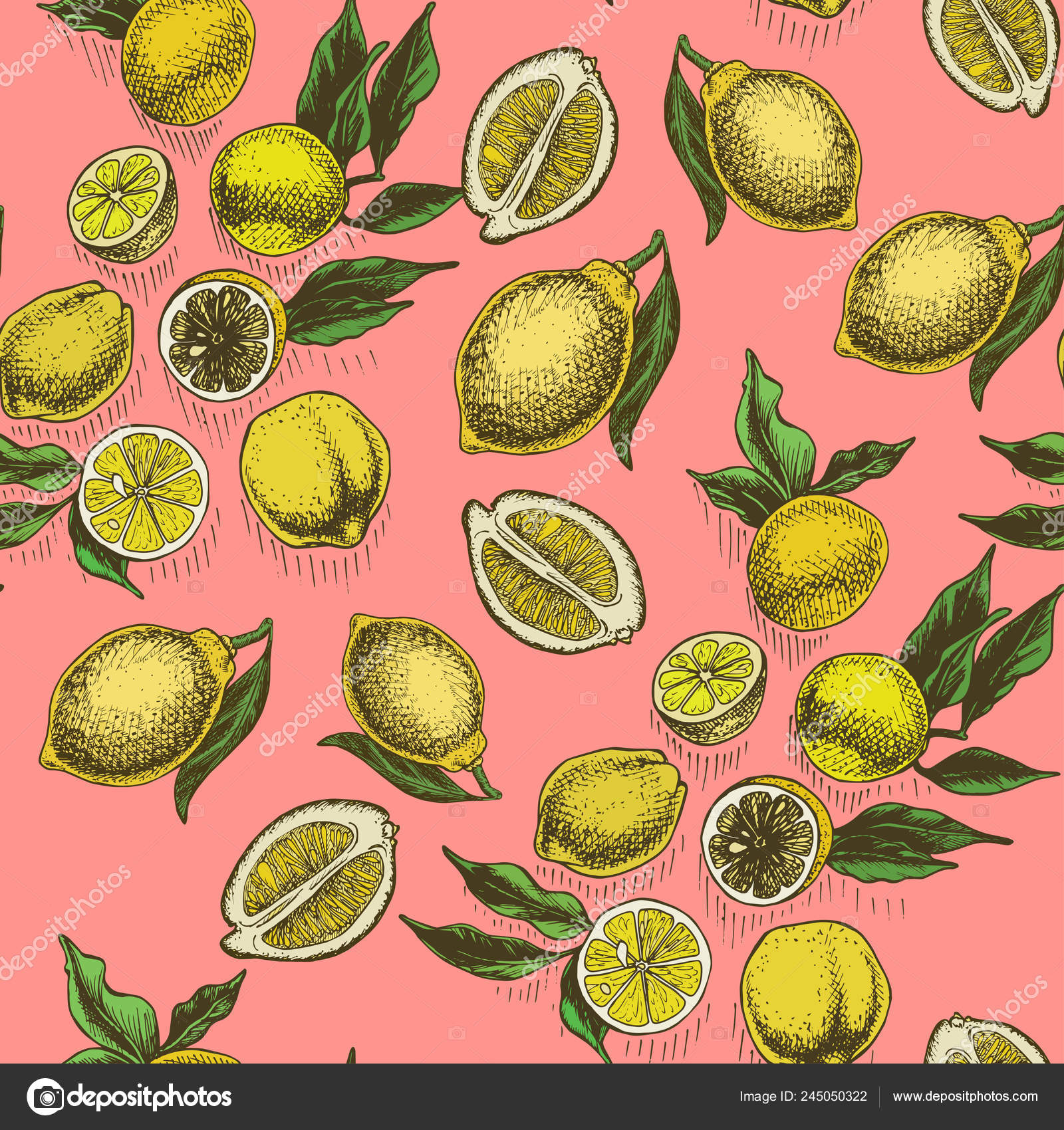 Hand Drawn Vector Illustration Citrus Fruit Card Stock Vector by ©art ...