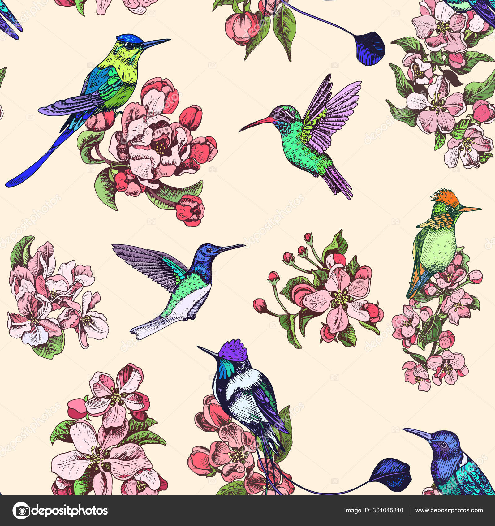 Sketch Hand Drawn Pattern Hummingbirds Vector Illustration — Stock ...