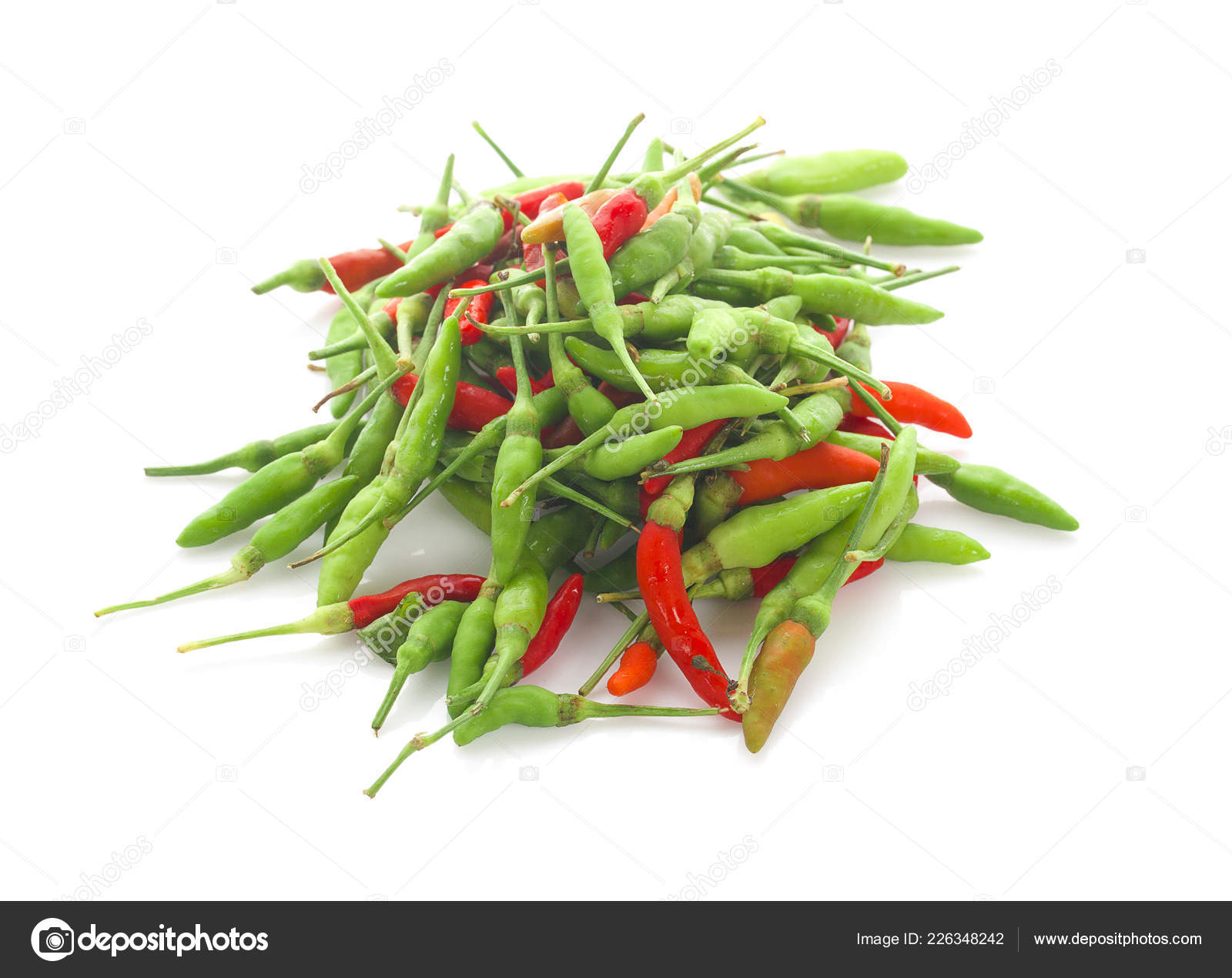 Chilli Padi Bird's Eye Chilli Bird Chilli Thai Pepper Stock Photo by ...