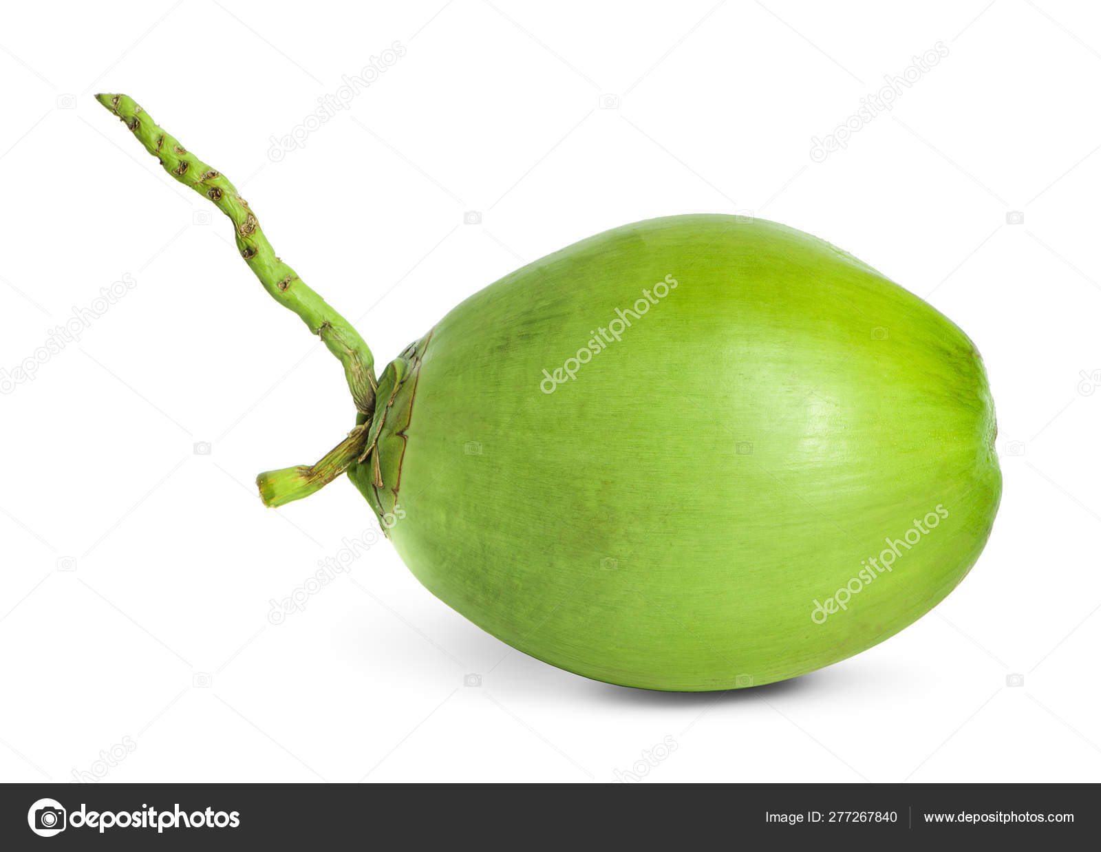 Green coconut isolated on white background — Stock Photo © ungpaoman ...