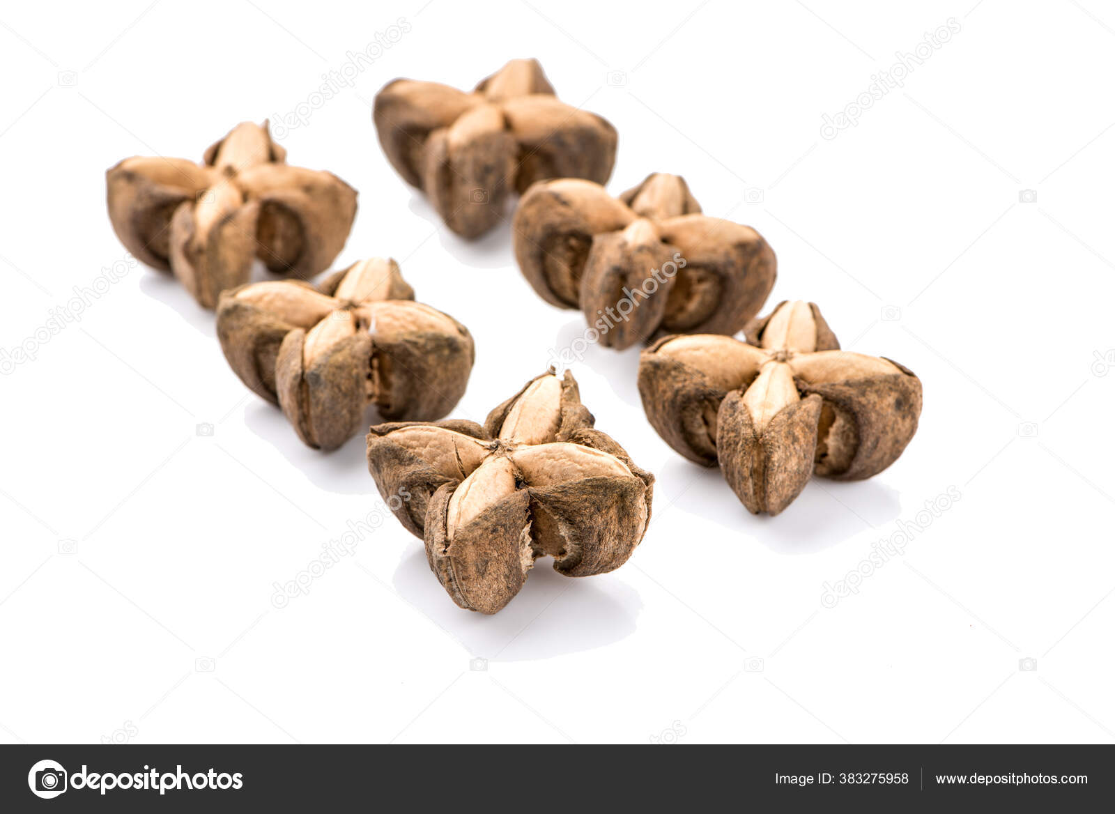 Nuts Incas Sacha Inchi Peanut Seed Isolated White Background Stock ...
