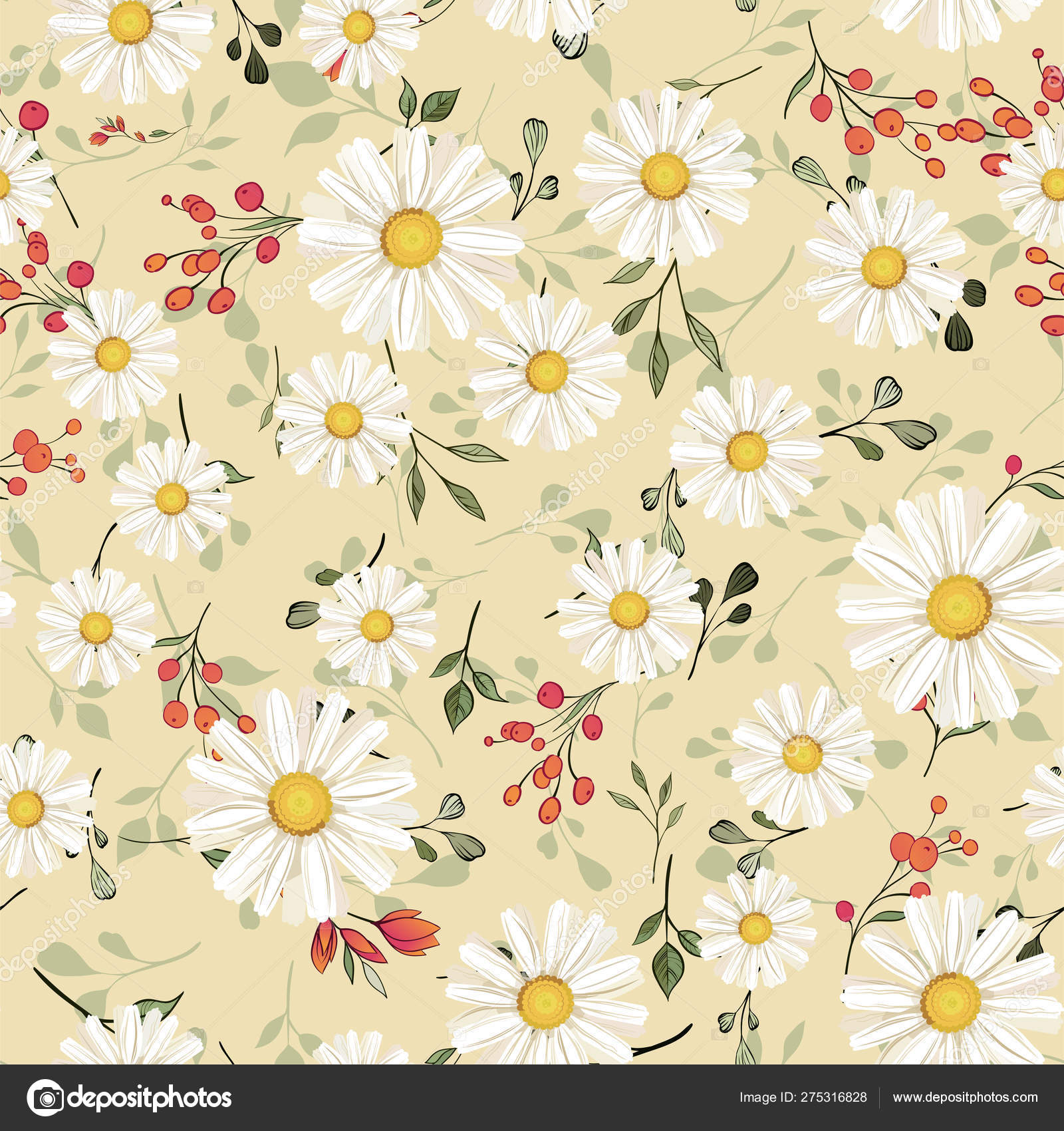 Vintage Daisy Backgrounds