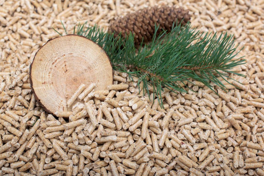 Energía renovable: materiales y pellets de coníferas hechos de ellos 2022