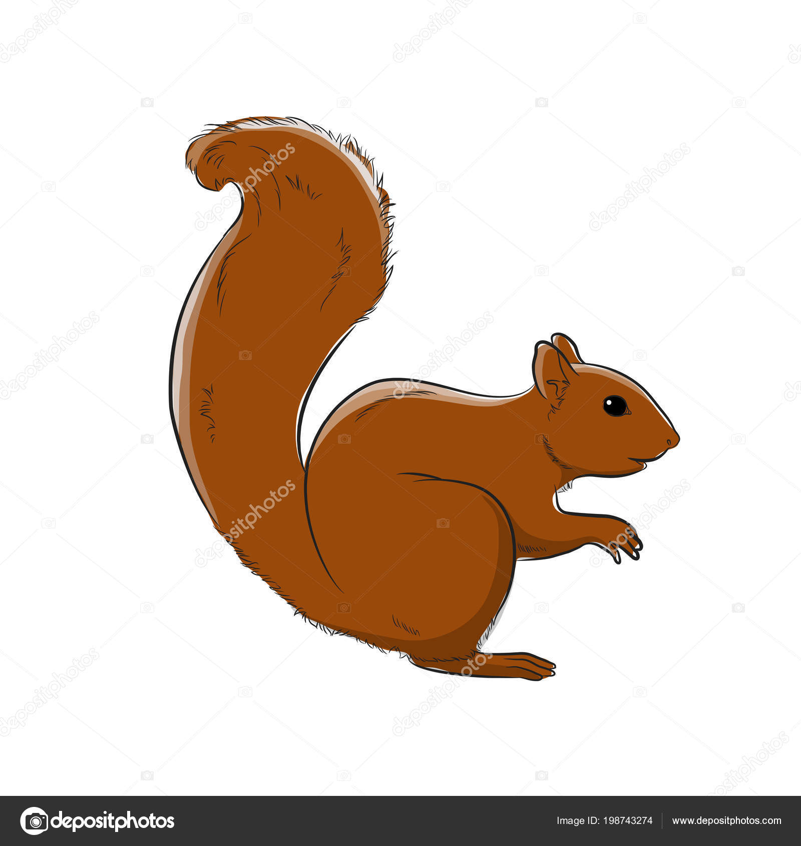 Ekorn Vektor Terrestrisk Referanseramme – Store Norske Leksikon