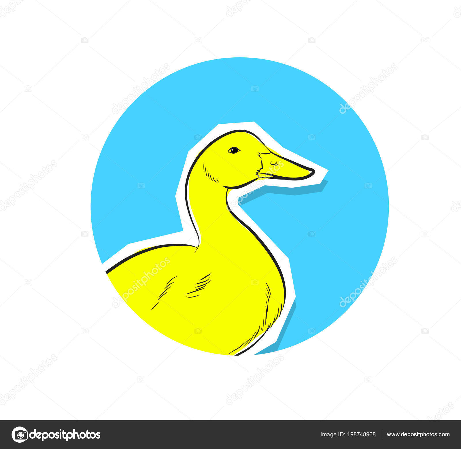 Duck Face Closeup Vector Stock Vector Image by ©CreativeBucket #198748968