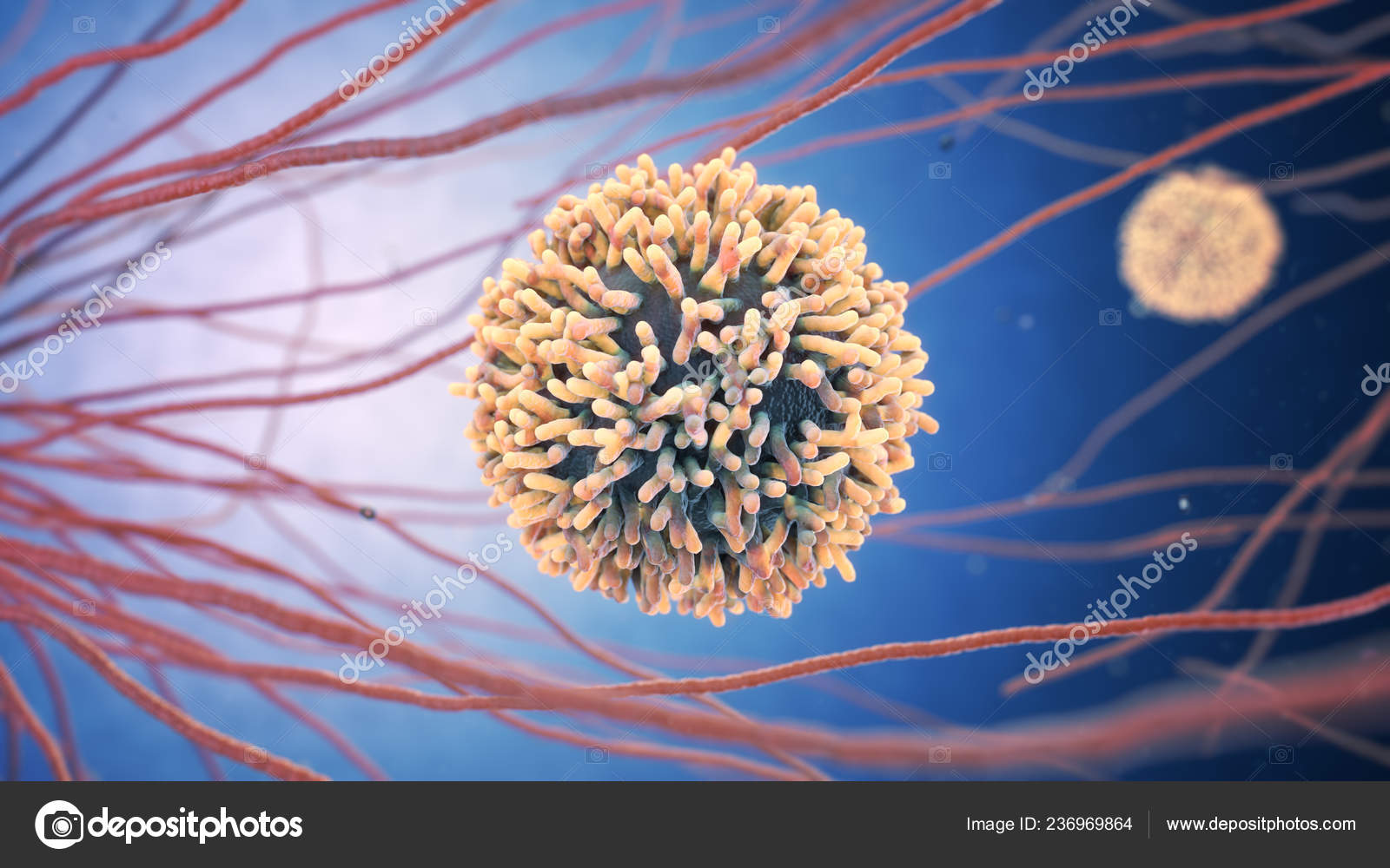 Illustration White Blood Cell Also Called Leukocytes Leucocytes Stock ...