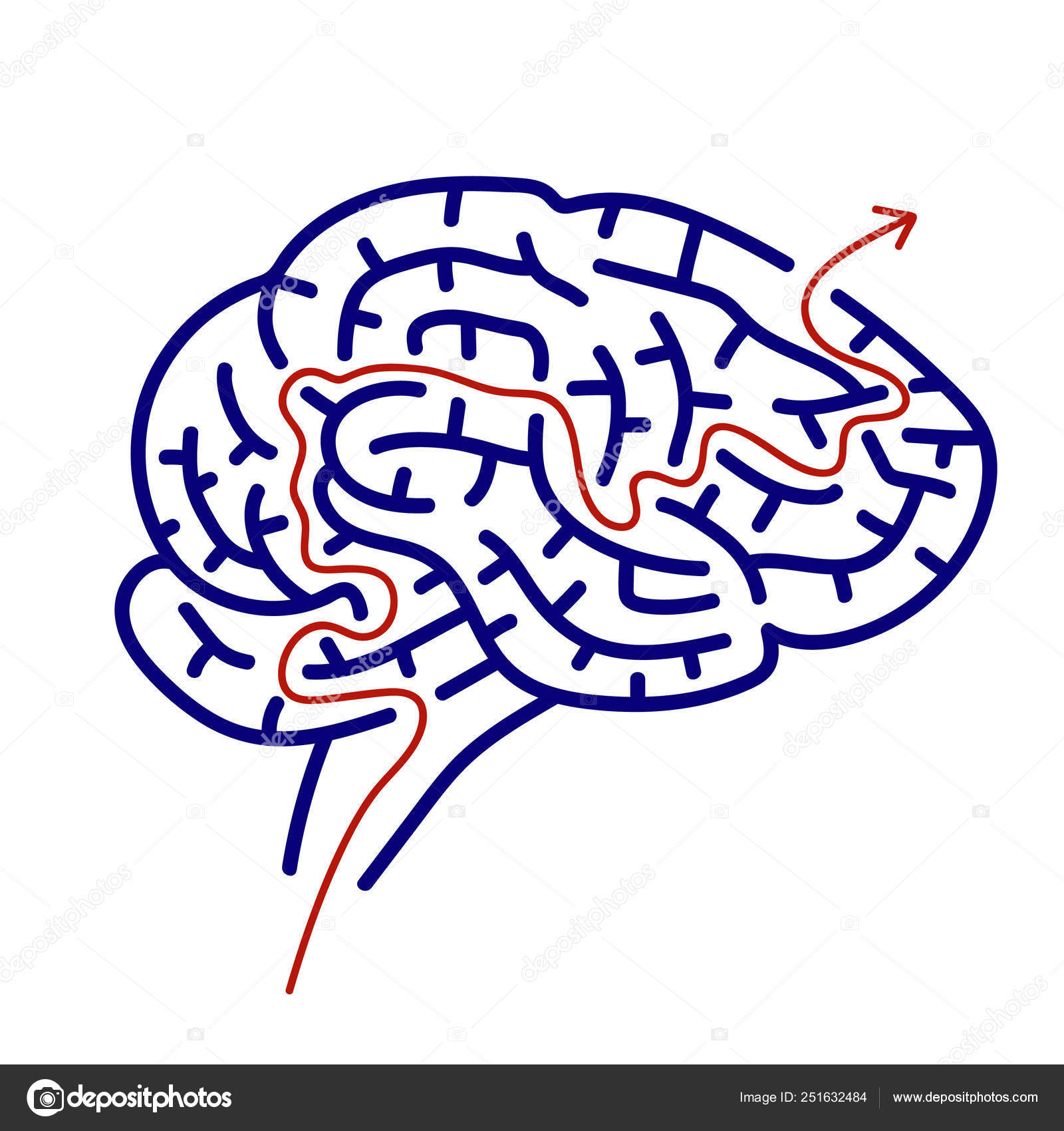 Hjernevektor Din Forunderlige Hjerne Biotech Academy