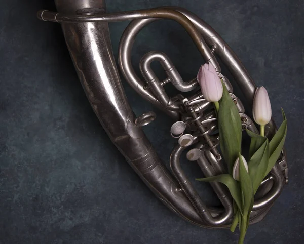 Instrumentos musicales Stock Photos, Royalty Free Instrumentos ...