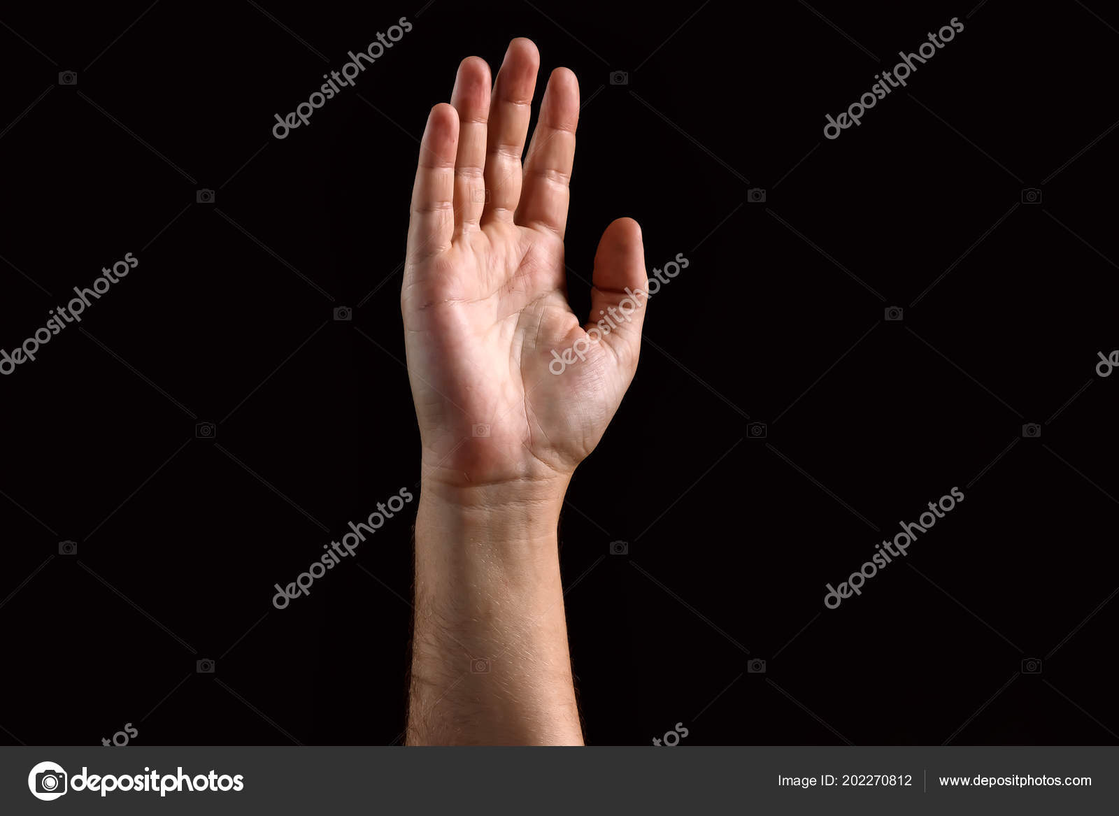 Male Palm Raised Isolated Dark Background Isolate Stock Photo by ...