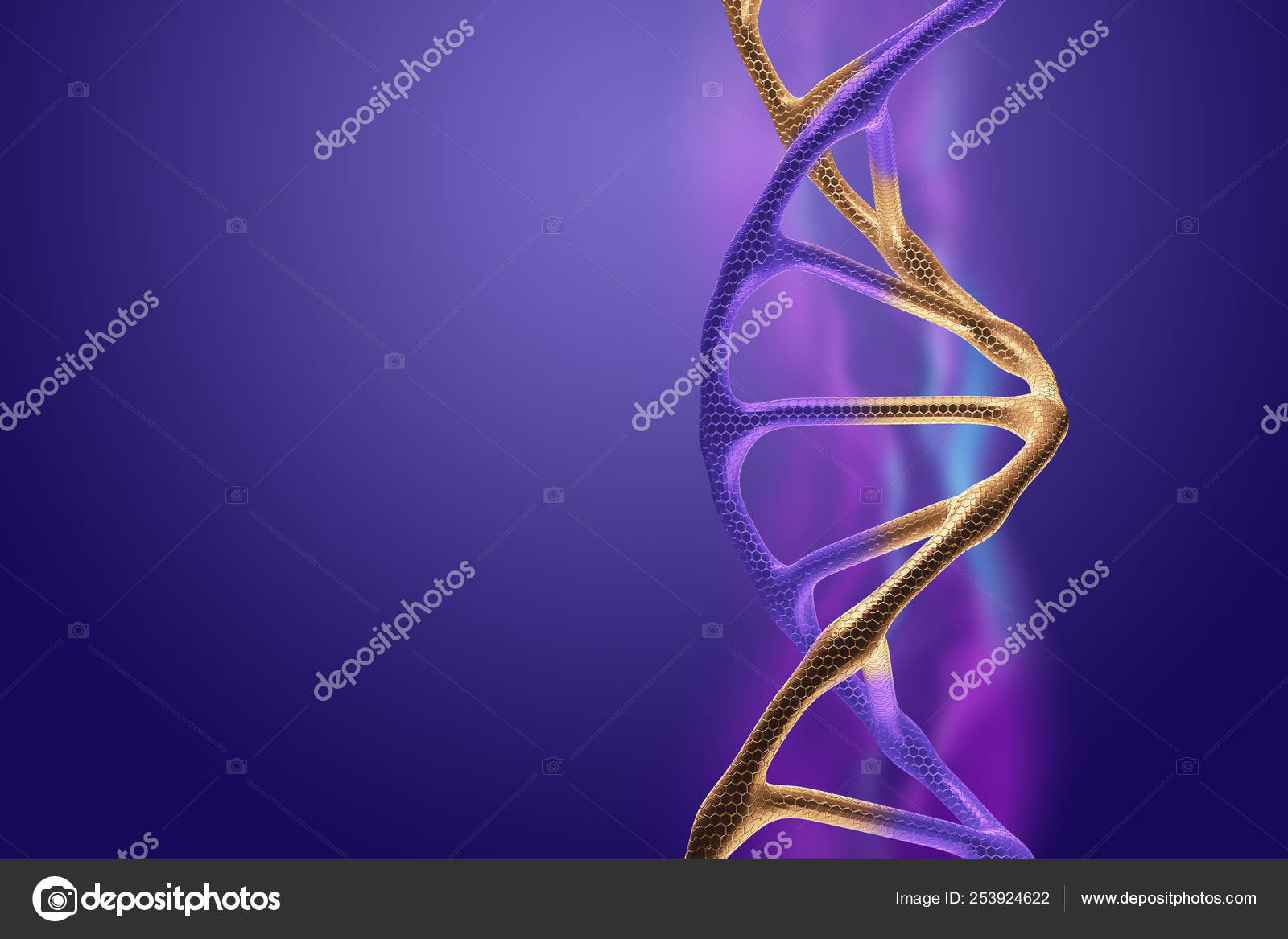 Creative Dna Structure Model