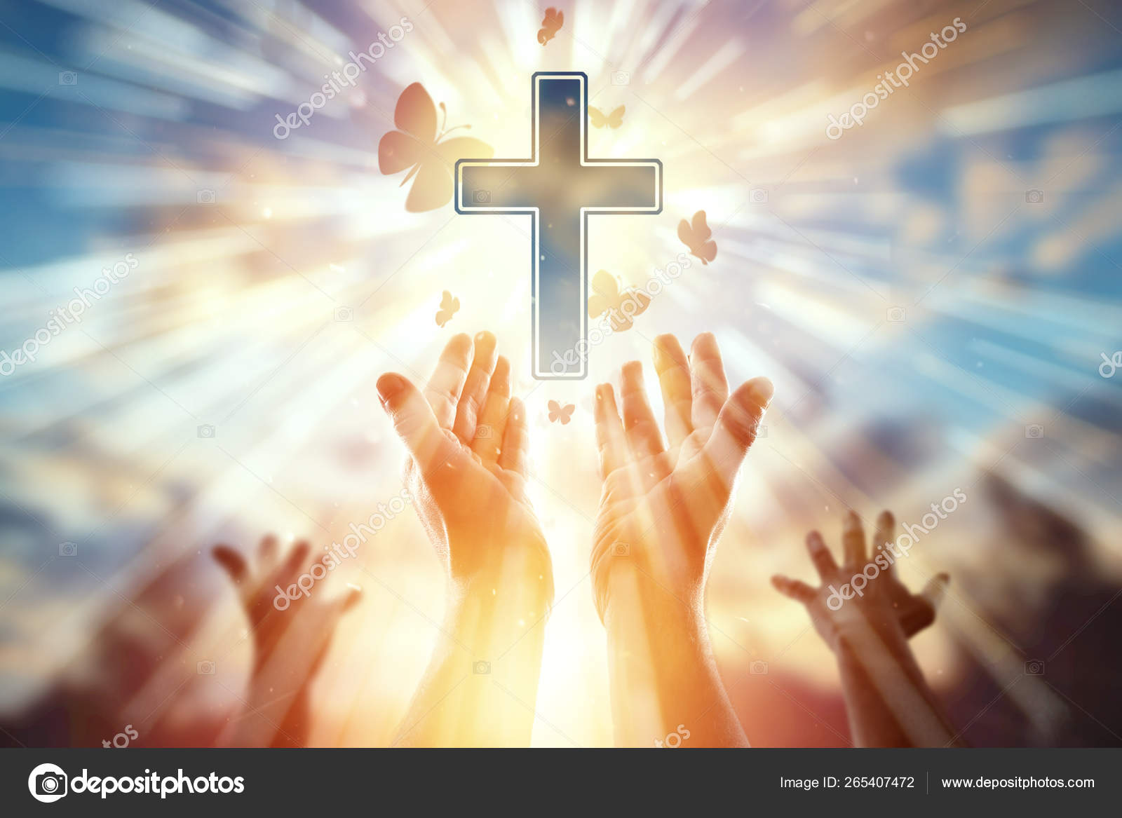 Praying Hands With Cross Wallpaper