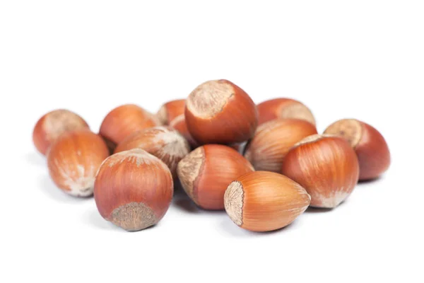 Hazel nuts Stock Photos, Royalty Free Hazel nuts Images | Depositphotos