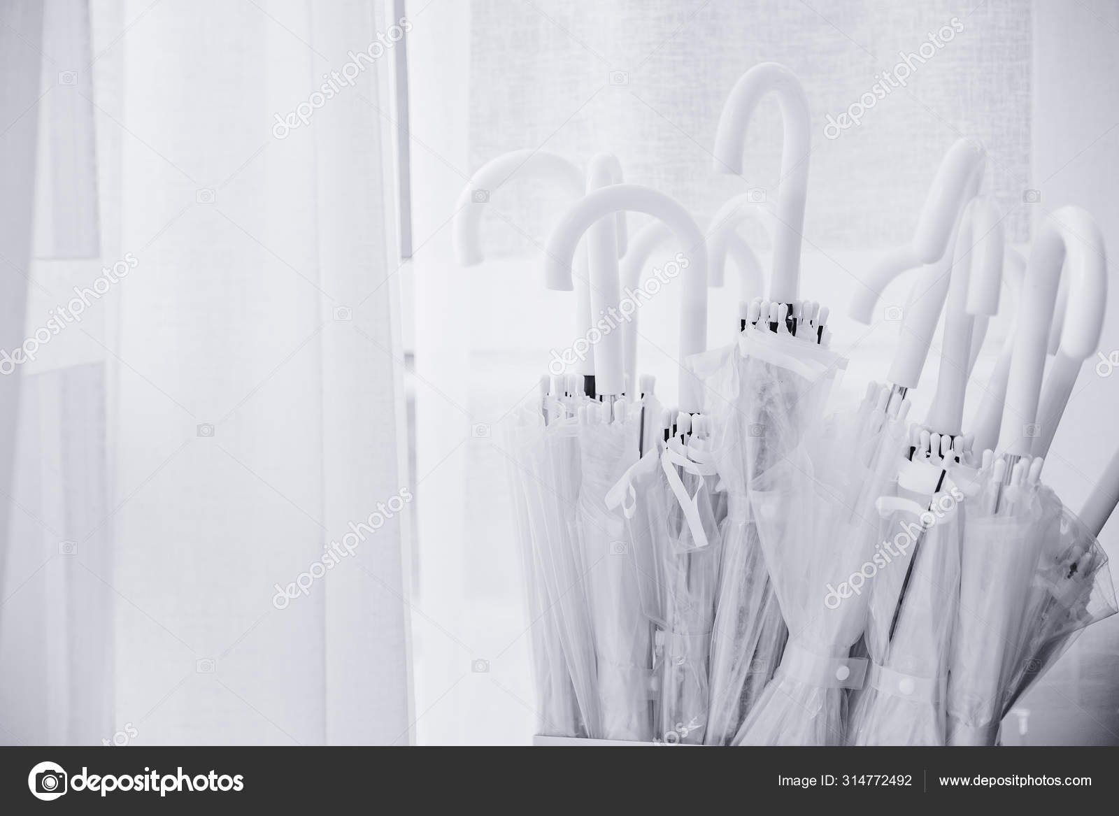 Transparent white umbrellas stored near door of room in stand, waiting ...
