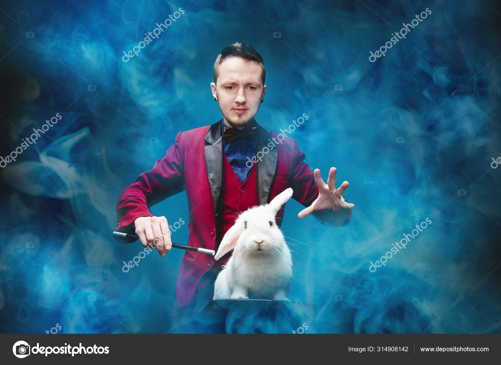 Magician shows trick with disappearance white rabbit in suitcase magic ...