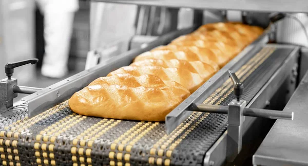 Automated production line bakery Fresh hot baked breads - Stock Image ...