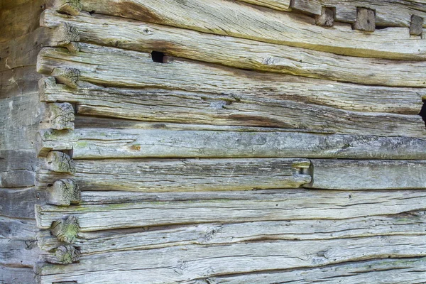 textura del rbol viejo, la pared est hecha de madera 2024
