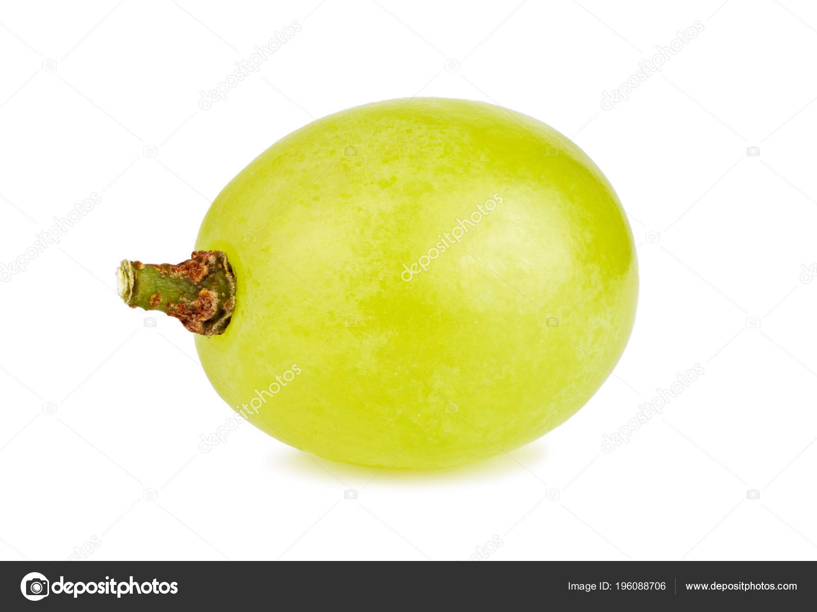 Single Green Grape