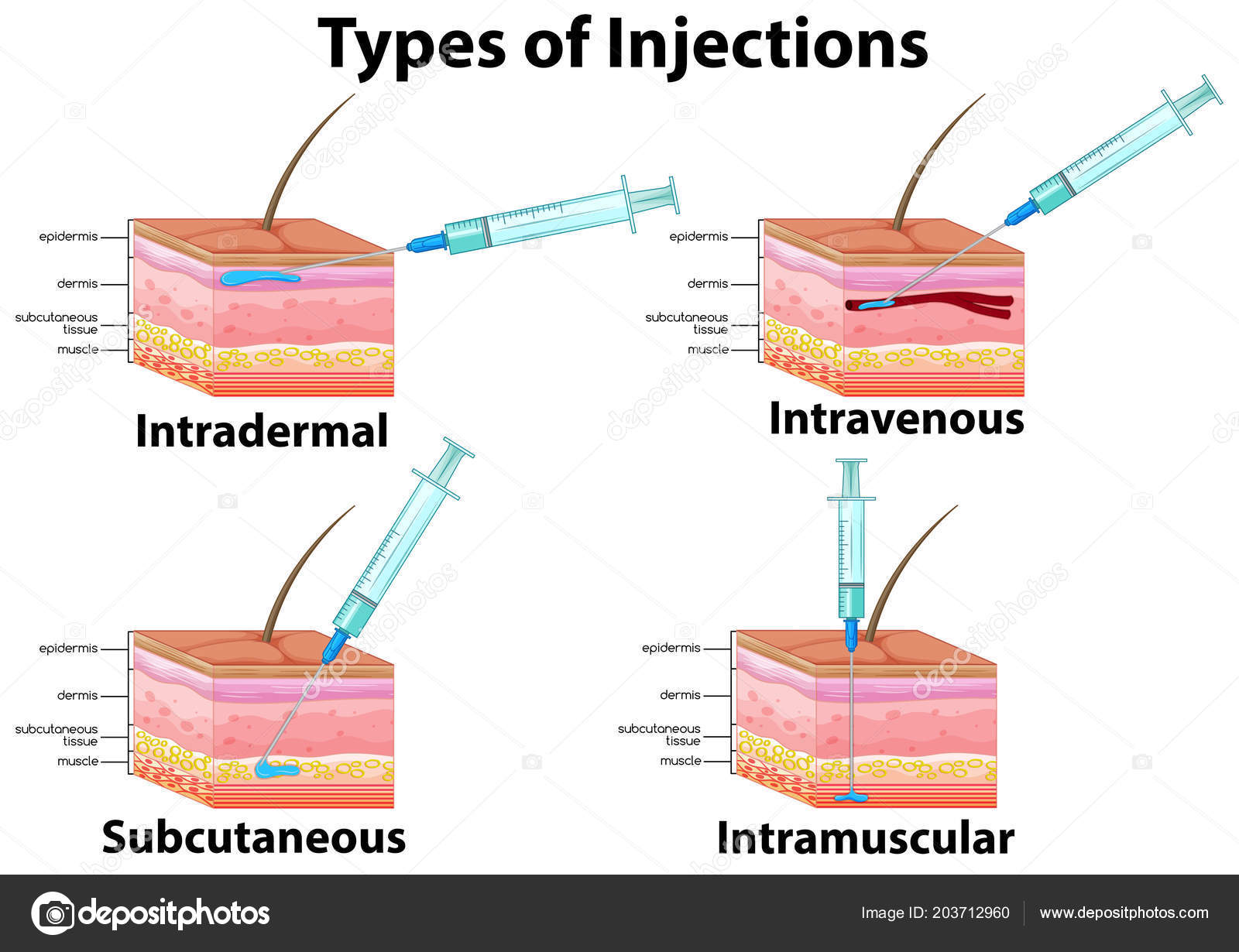 Set Type Injections Illustration Stock Vector Image by ©interactimages ...