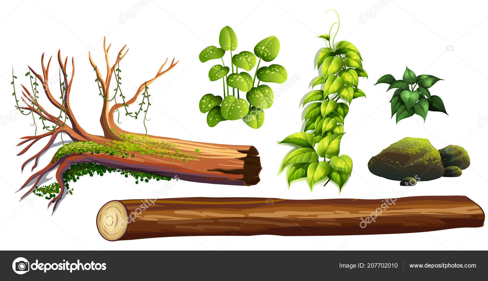 Set Forest Element Illustration Stock Vector by ©interactimages 207702010