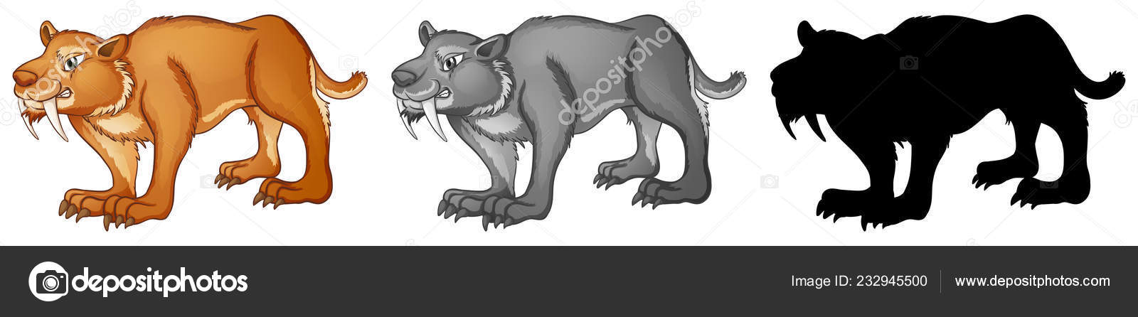 Conjunto Ilustración Tigre Diente Sable Vector Gráfico Vectorial