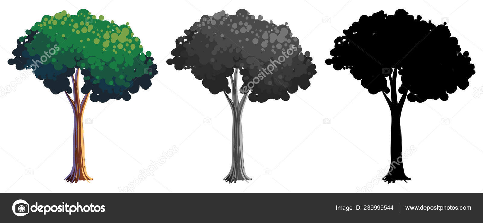 Set Isolated Tree Illustration Stock Vector by ©interactimages 239999544