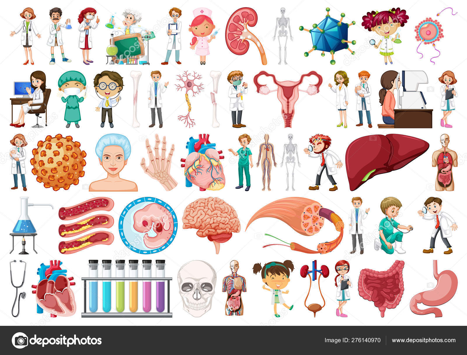 Set of science anatomy Stock Vector Image by ©interactimages #276140970