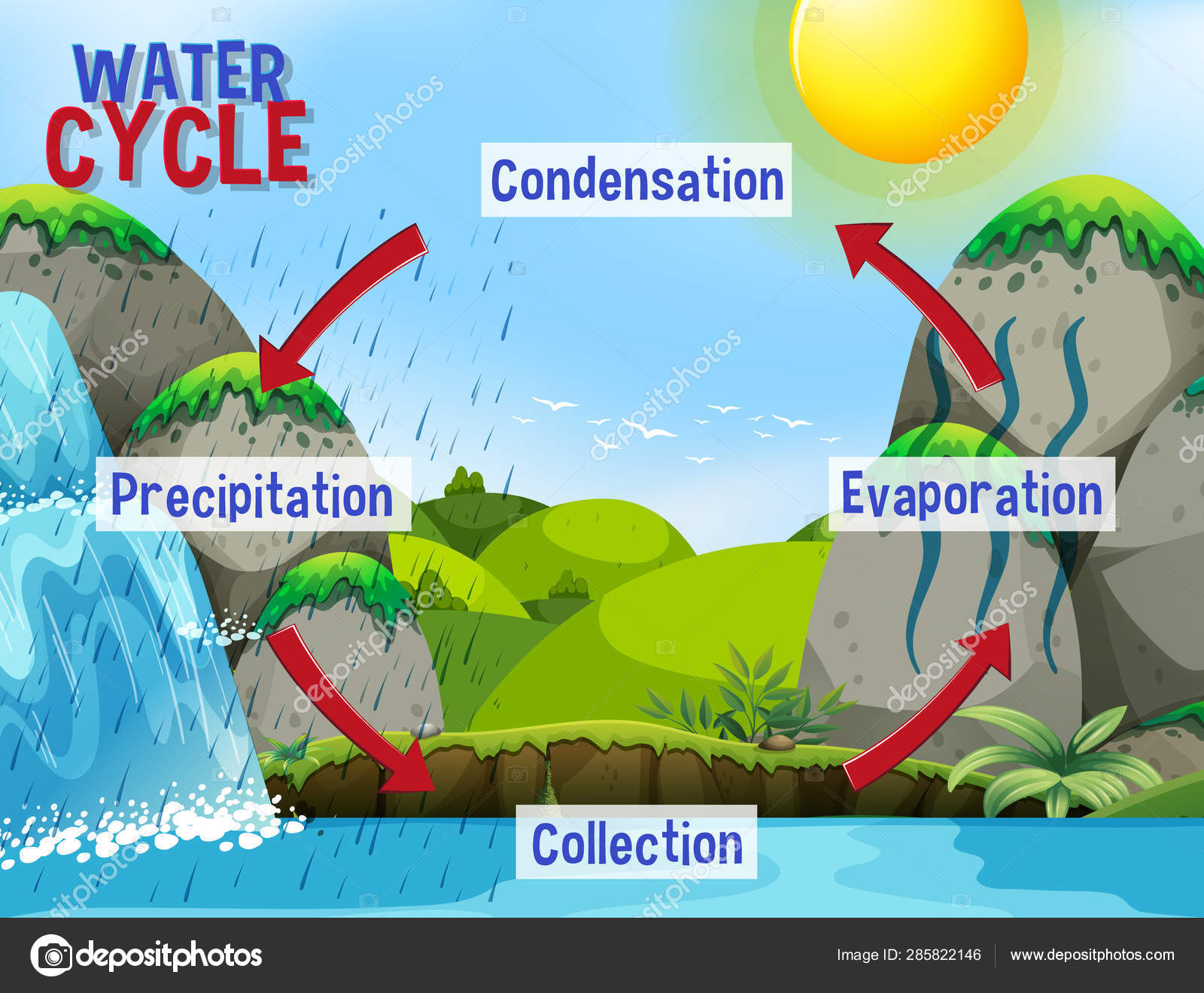 Water cycle process on Earth - Scientific Stock Vector by ...