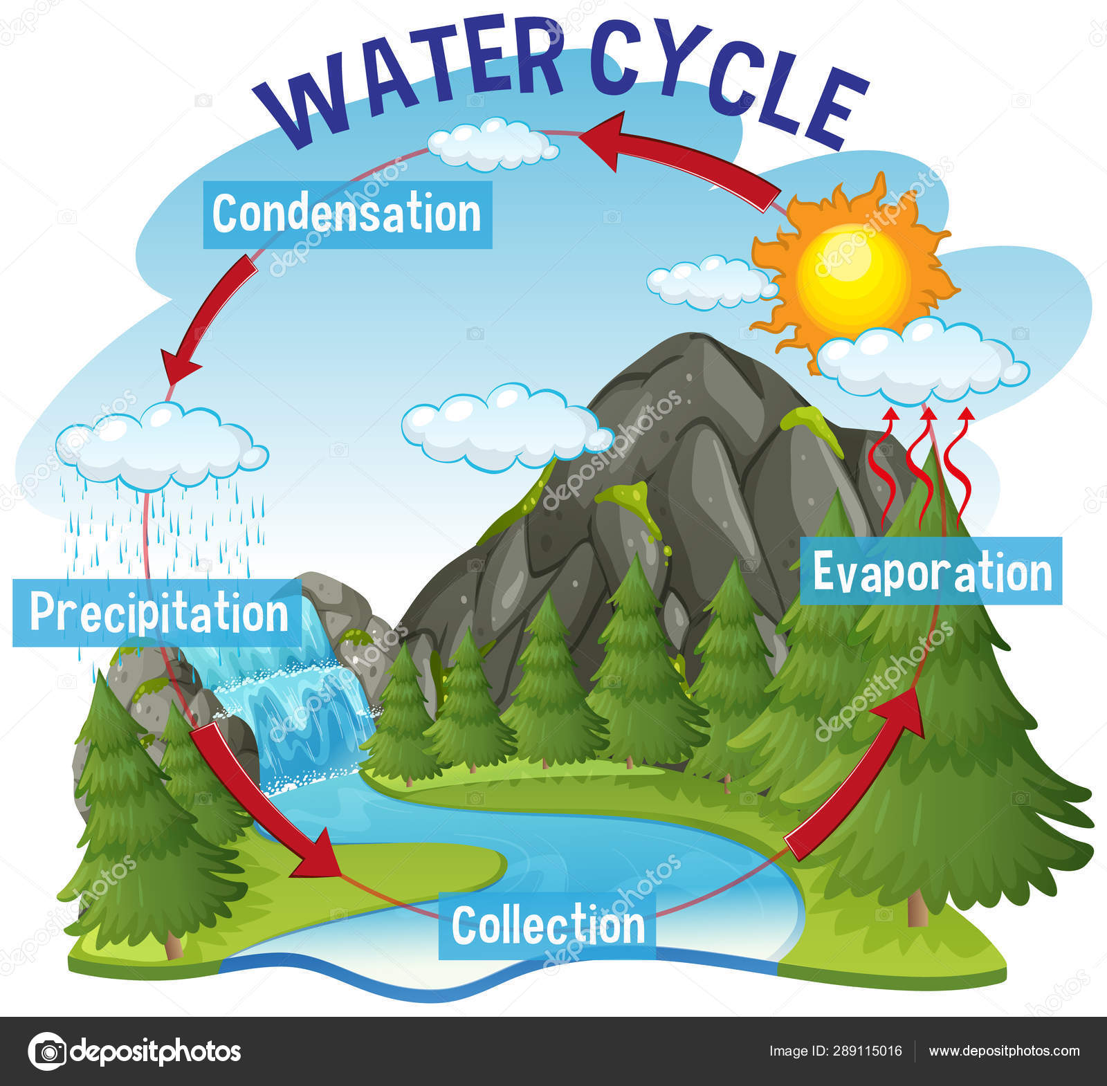 Collection Water Cycle Clipart