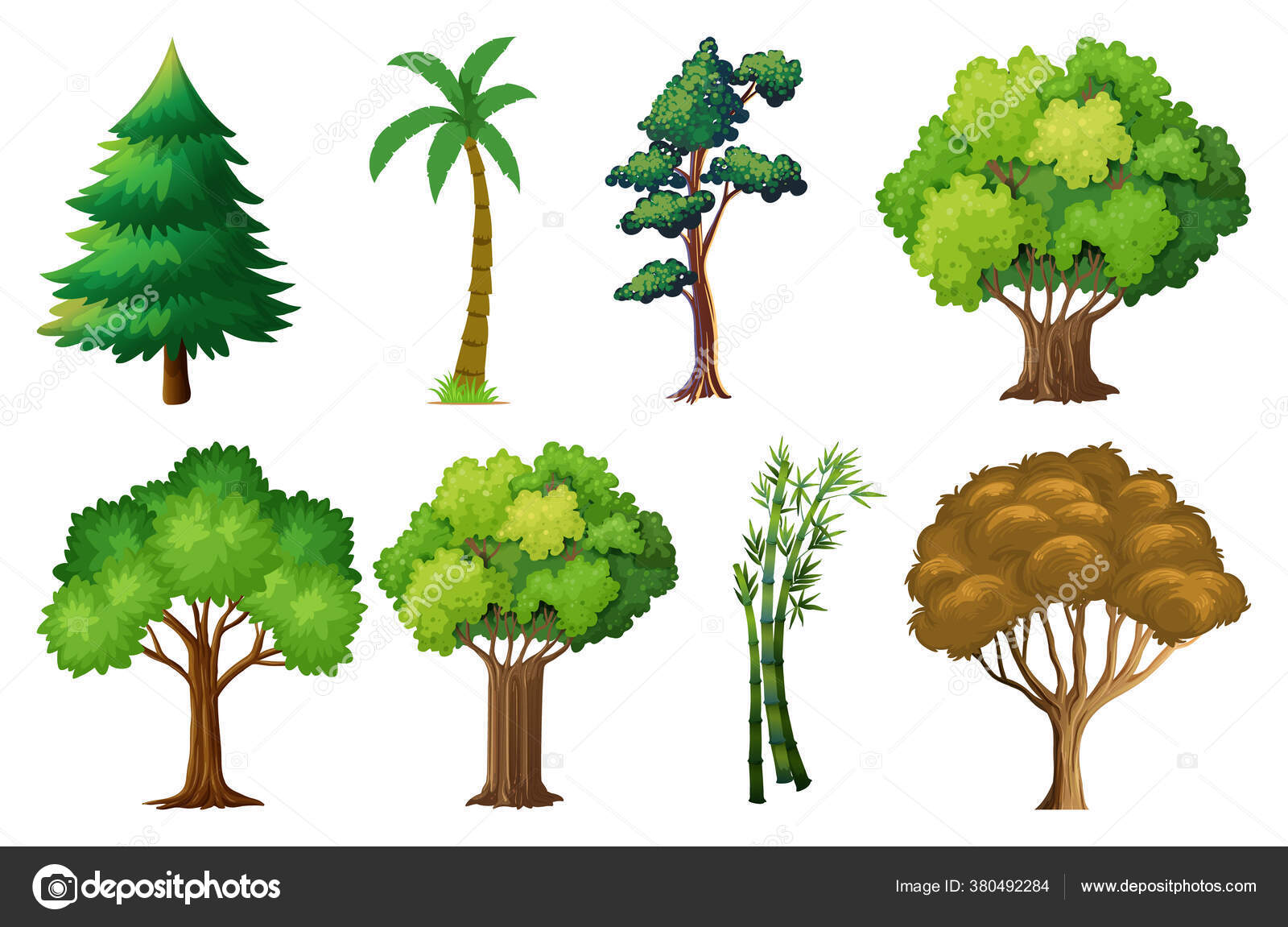 Different Kinds Of Plants Clipart Images