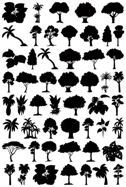 22,962,298 Jamaica trees Vector Images | Depositphotos