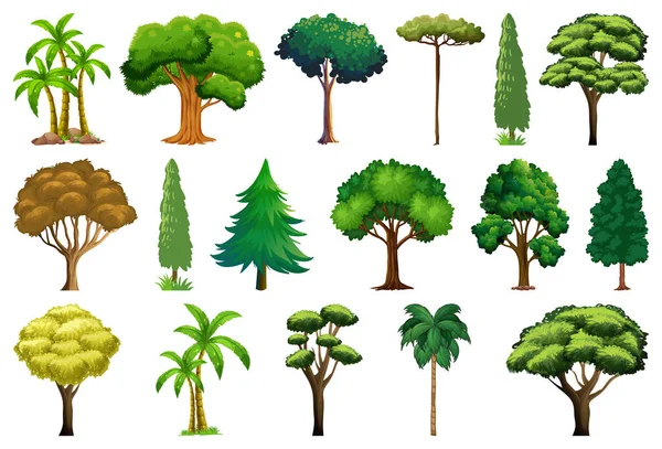 23,427,457 Trees clipart Vector Images | Depositphotos