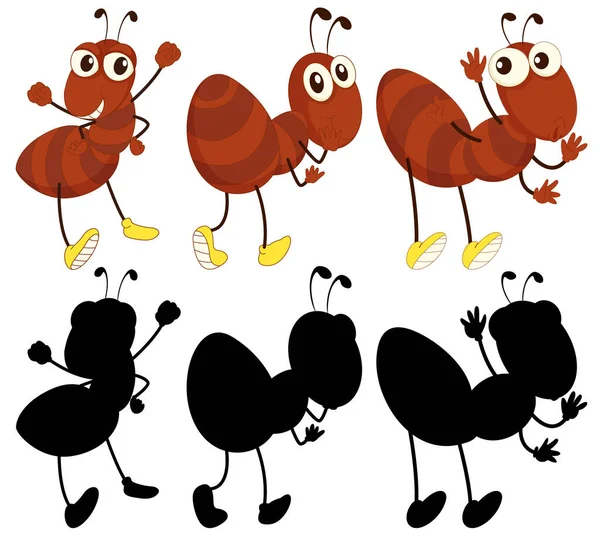 Insectes avec ombre images vectorielles, Insectes avec ombre vecteurs ...