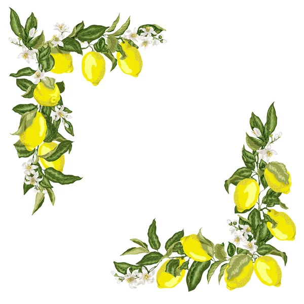 Cadre citron images vectorielles, Cadre citron vecteurs libres de ...