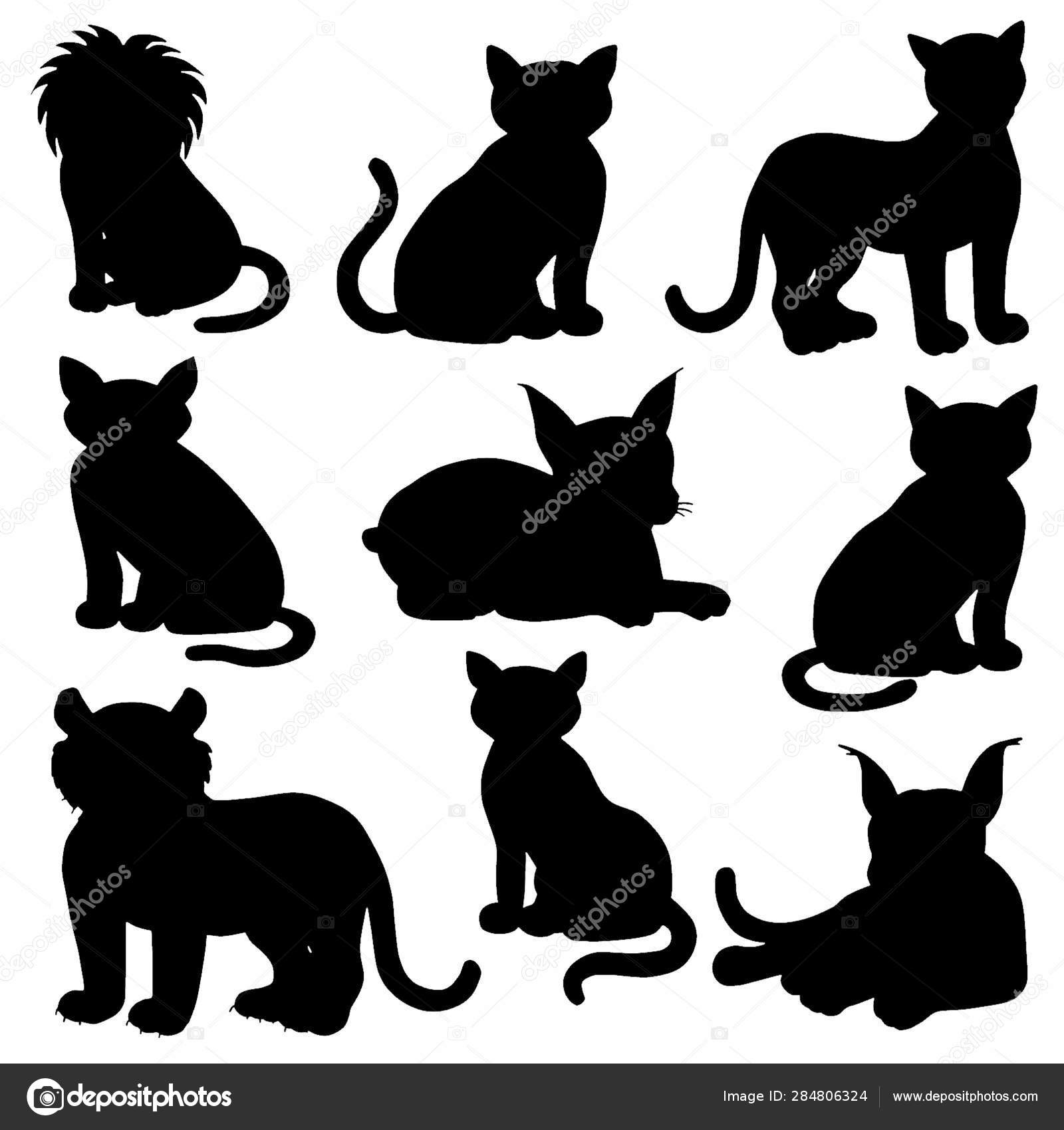 Big Feline Silhouettes Large Cats Animal Stock Vector Image by ©i365art ...