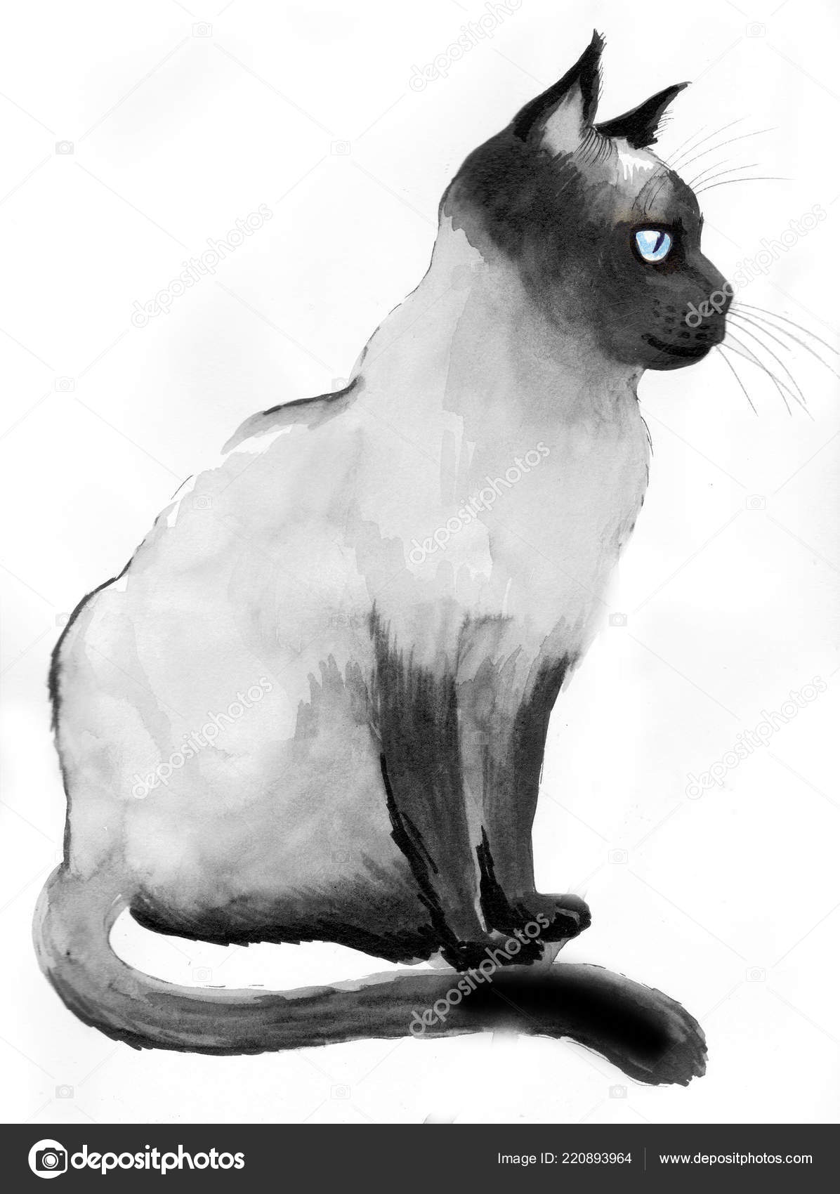 Sitting Cat Ink Watercolor Illustration Stock Illustration by ...