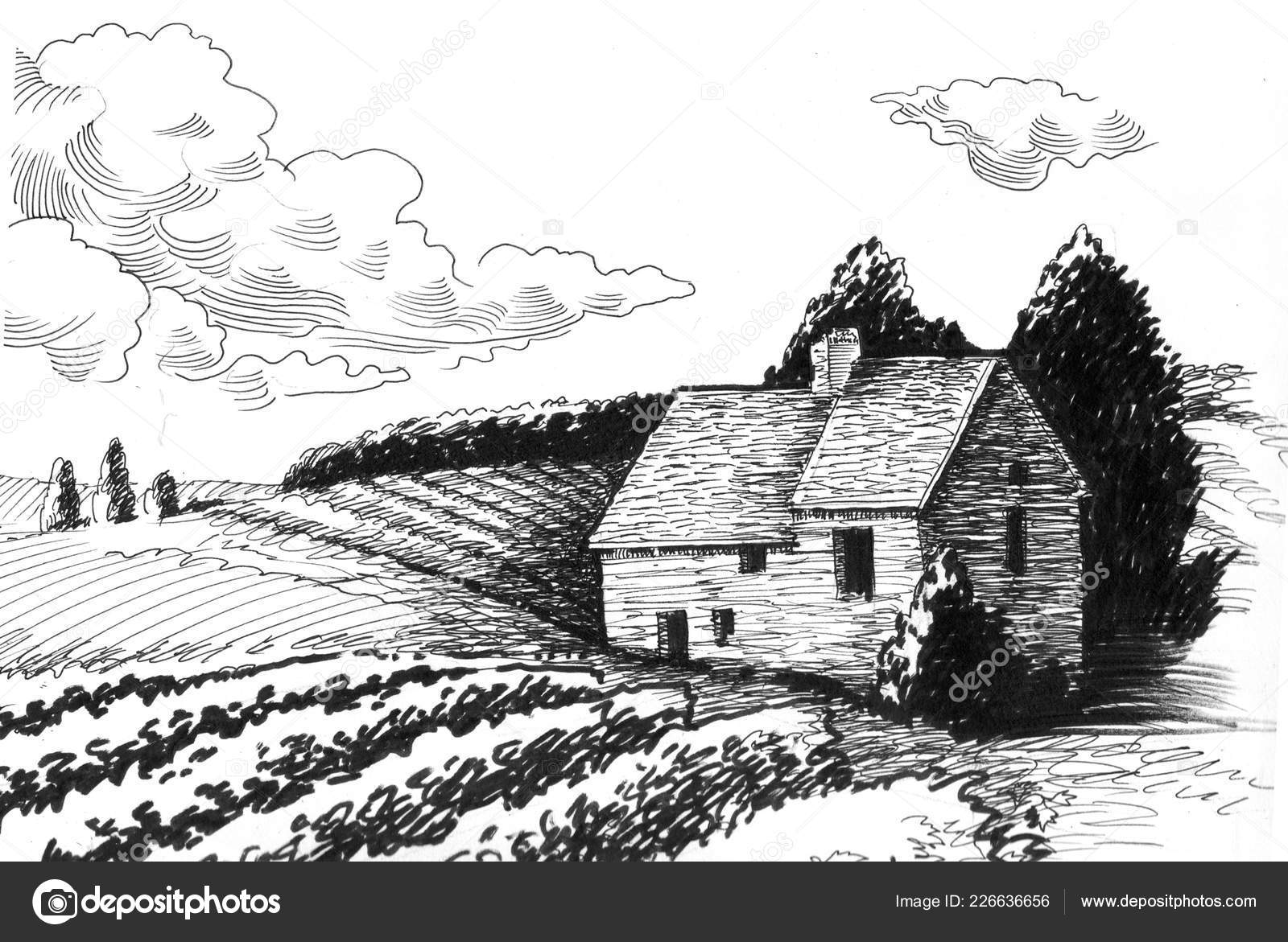 Svart Hvitt Tegninger Av Landskap