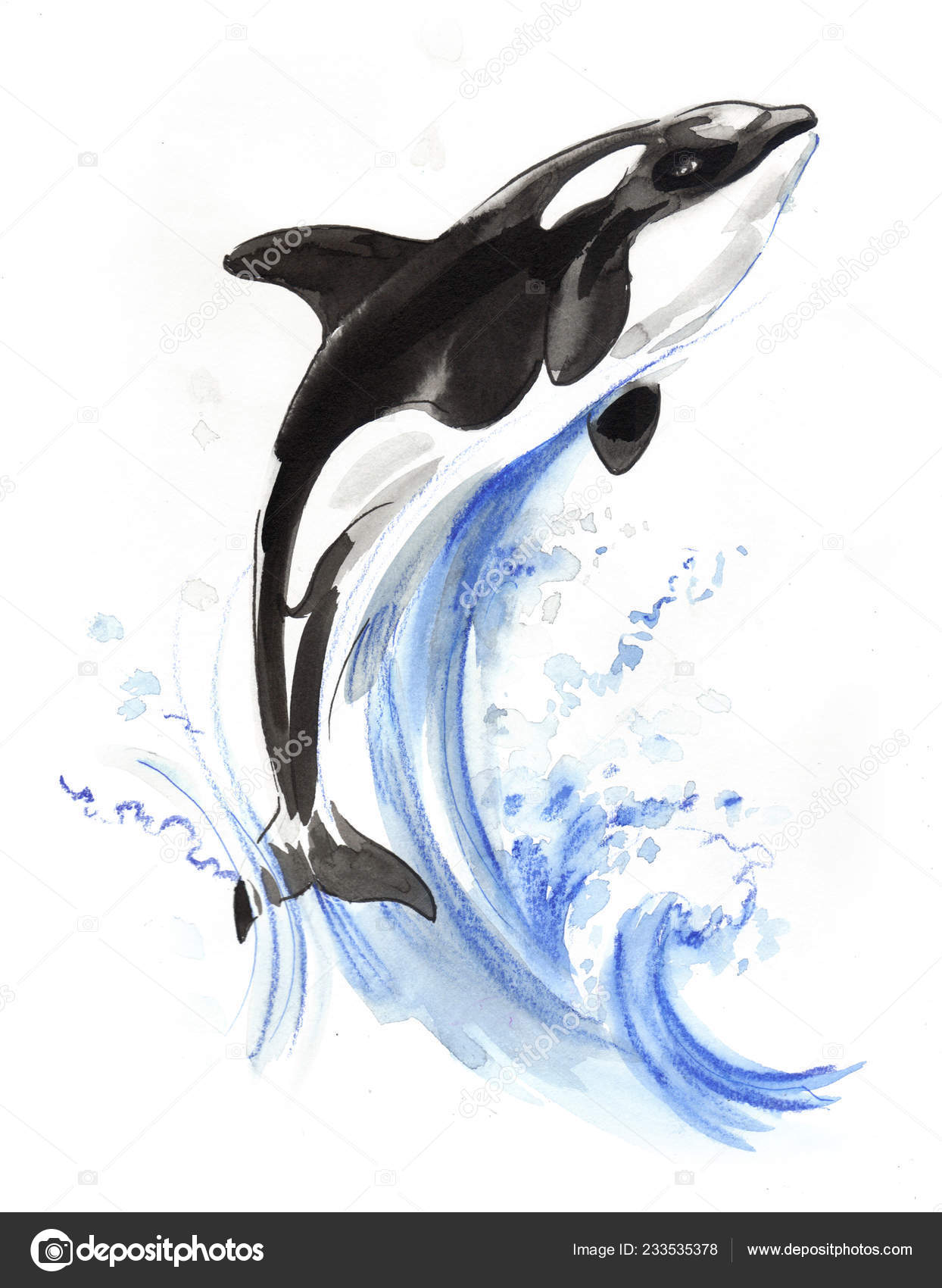 Orca Jumping Drawing