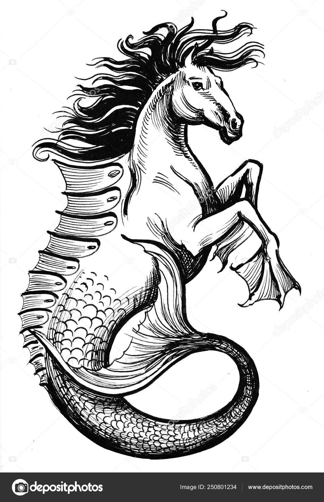 Mythical Creatures Hippocampus