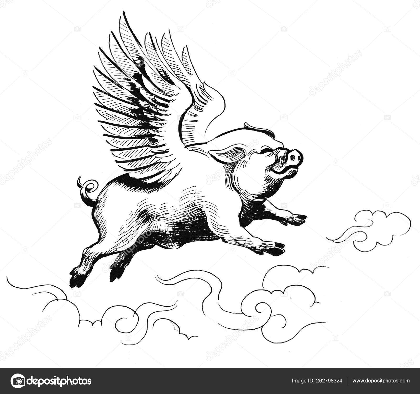 Flying Pigs Drawing