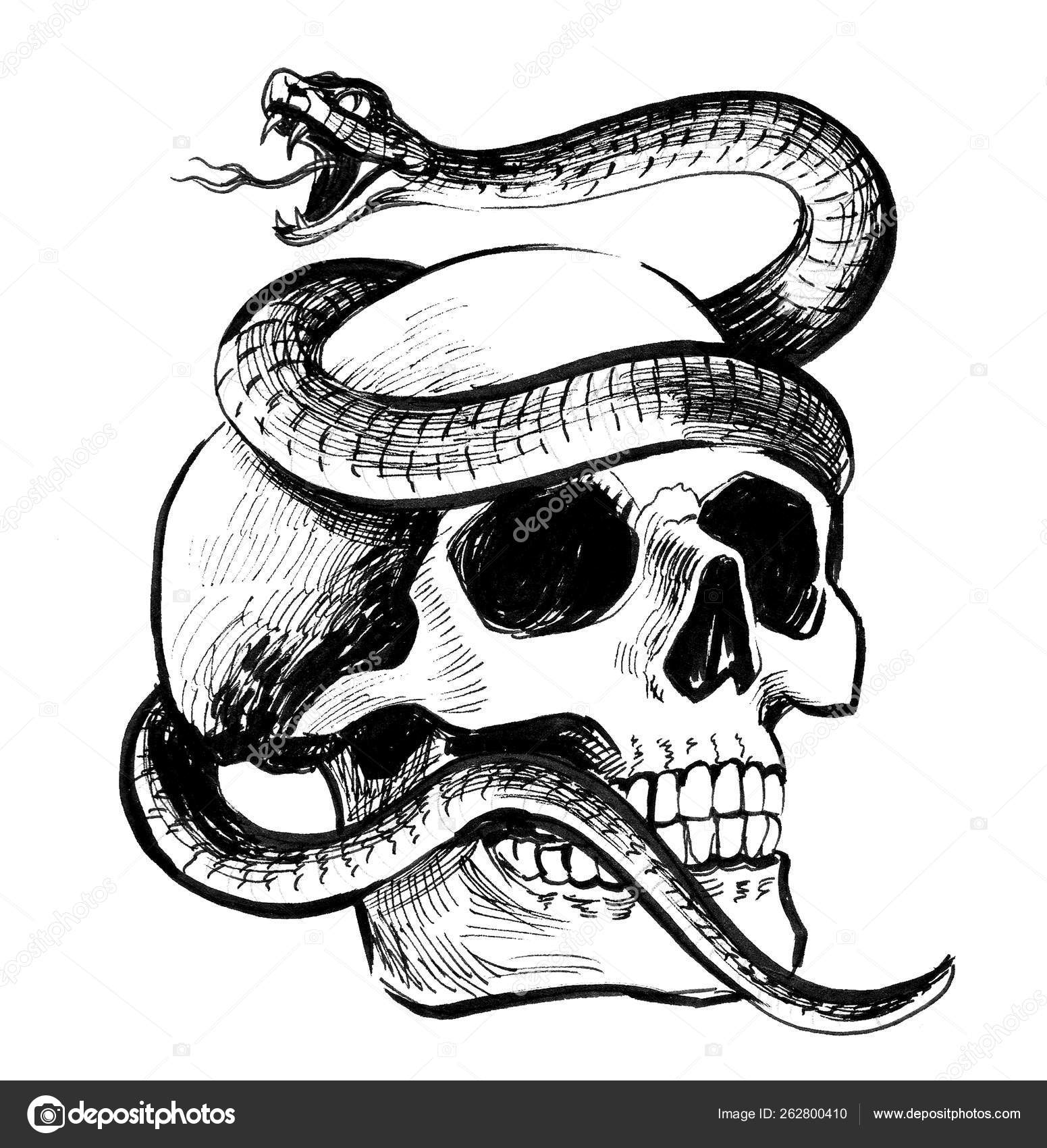 Snake Clip Art Black And White